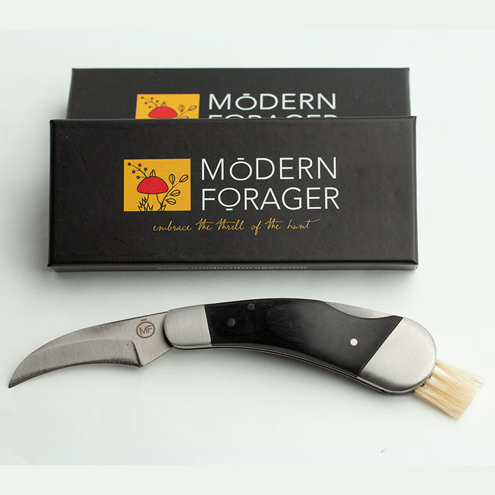 Modern Forager
